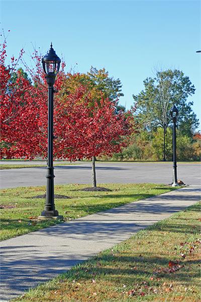 WFCL3 Lantern - Washington LED Post-Top Full Cutoff Lantern