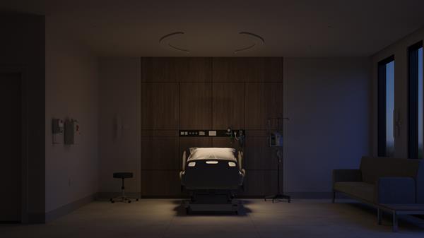 Embrace™ overbed - Multifunction patient room overbed luminaire with ...